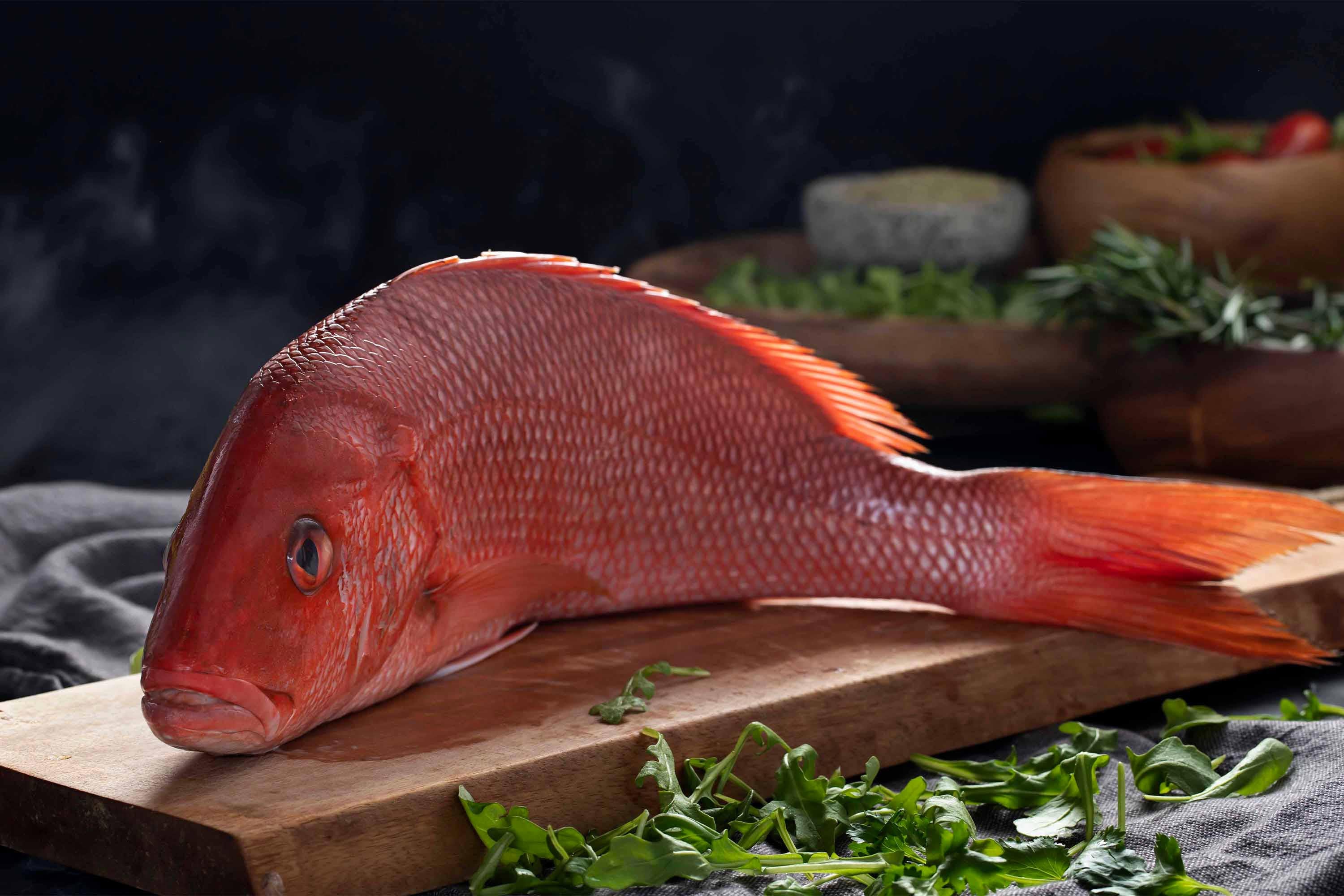 Buy Red Snapper Online – Krudo Fish Market
