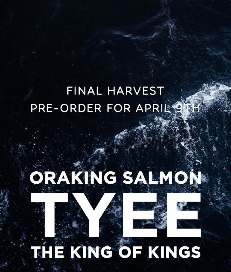 Krudo Fish Market | Specialty Fish Eats | Miami, FL