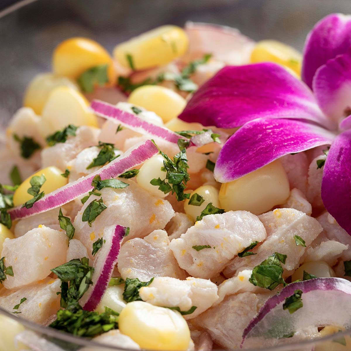 Krudo Ceviche Amarillo – Krudo Fish Market