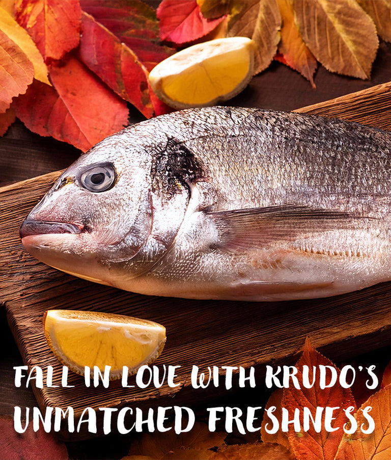 Krudo Fish Market | Specialty Fish Eats | Miami, FL