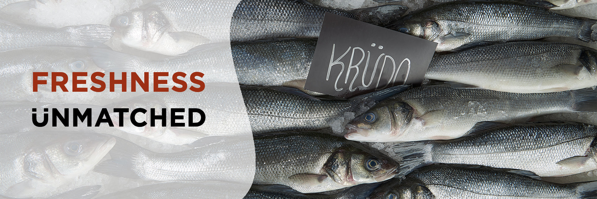 Krudo Fish Market | Specialty Fish Eats | Miami, FL